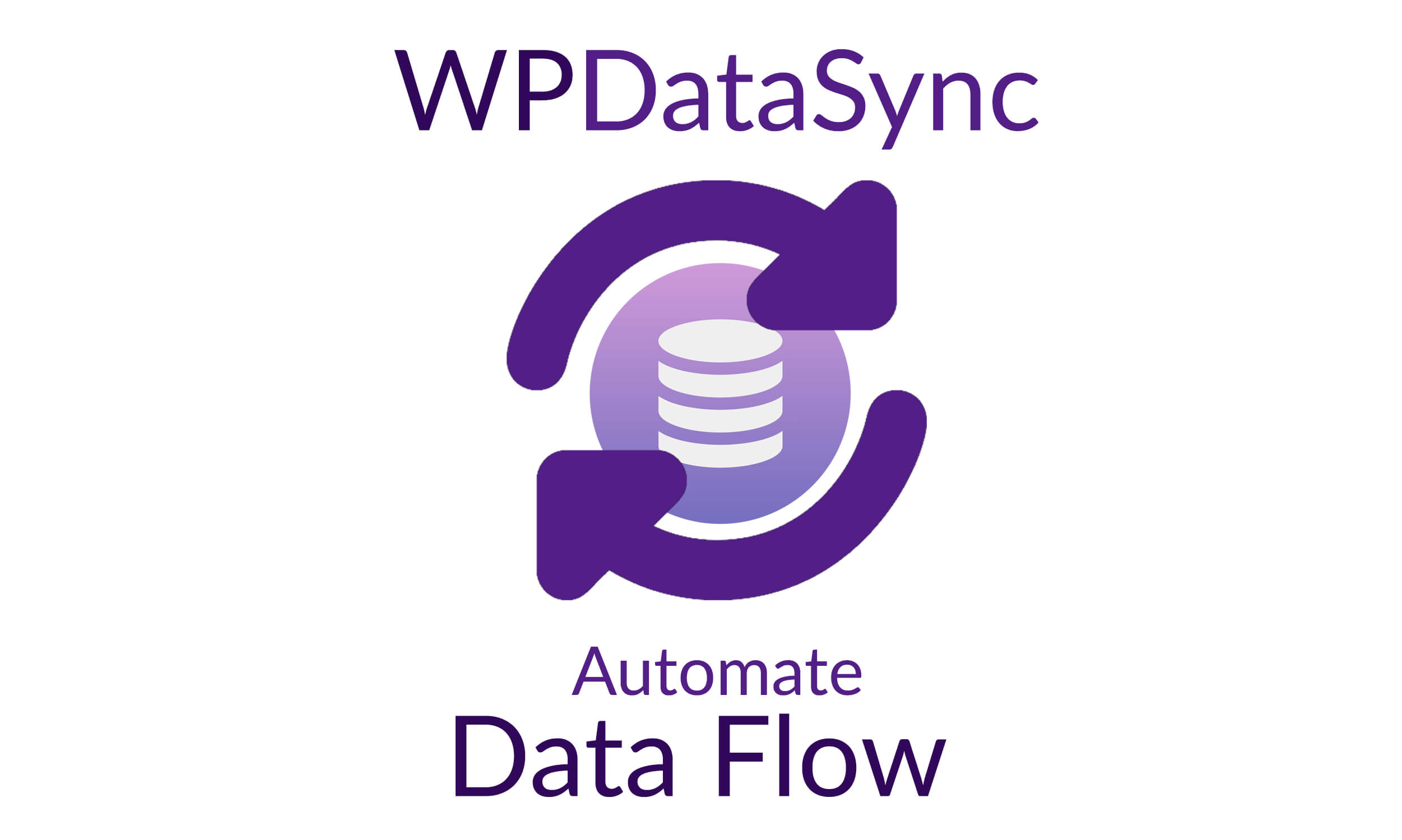 Quickly Process Raw Data for WordPress and WooCommerce